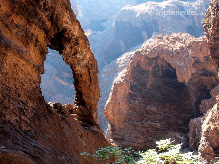 Masca Gorge Trekking in Tenerife - Book with TripTenerife.com