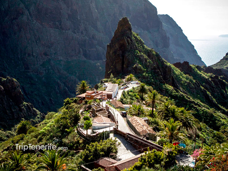 Visita el Teide, Masca, Garachico e Icod de los Vinos (9 horas ...