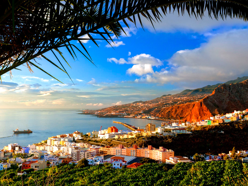 La Palma Bus Tour - TripTenerife