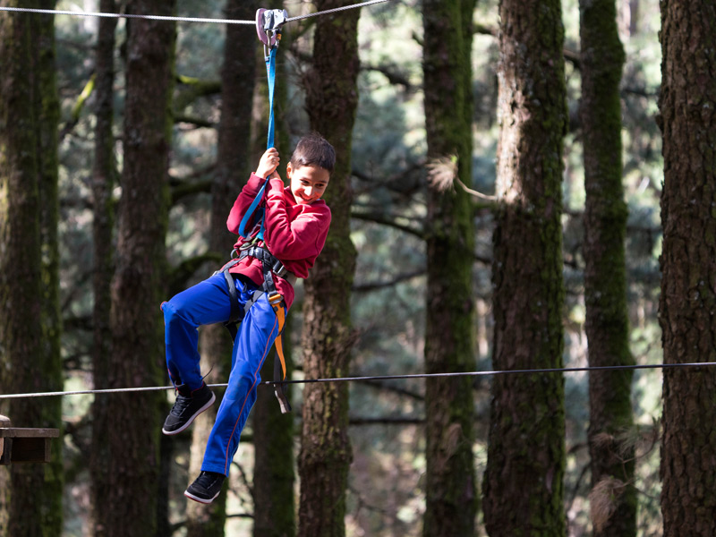 Forestal Park Tenerife - TripTenerife