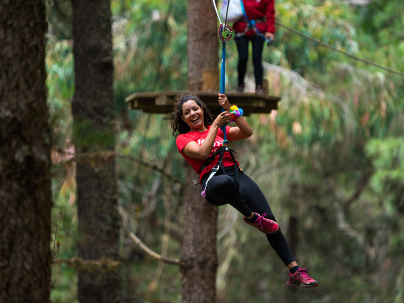 Forestal Park Tenerife - TripTenerife