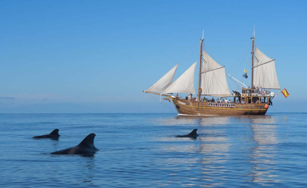 Flipper Uno - Pirate Boat along Los Gigantes Cliffs